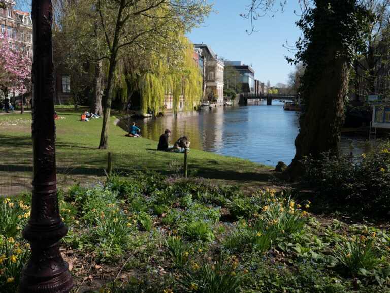 Sustainable Manchester Eco-Friendly Projects in the City